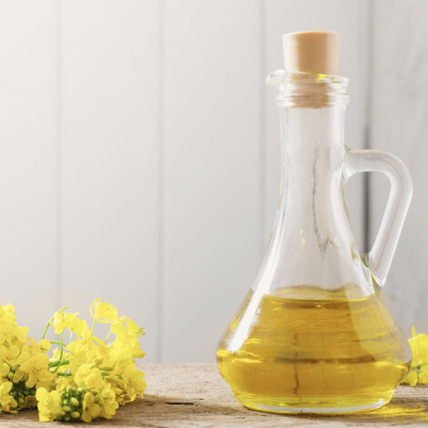 Was Rapsöl so gesund macht | Deli Reform | Deli Reform