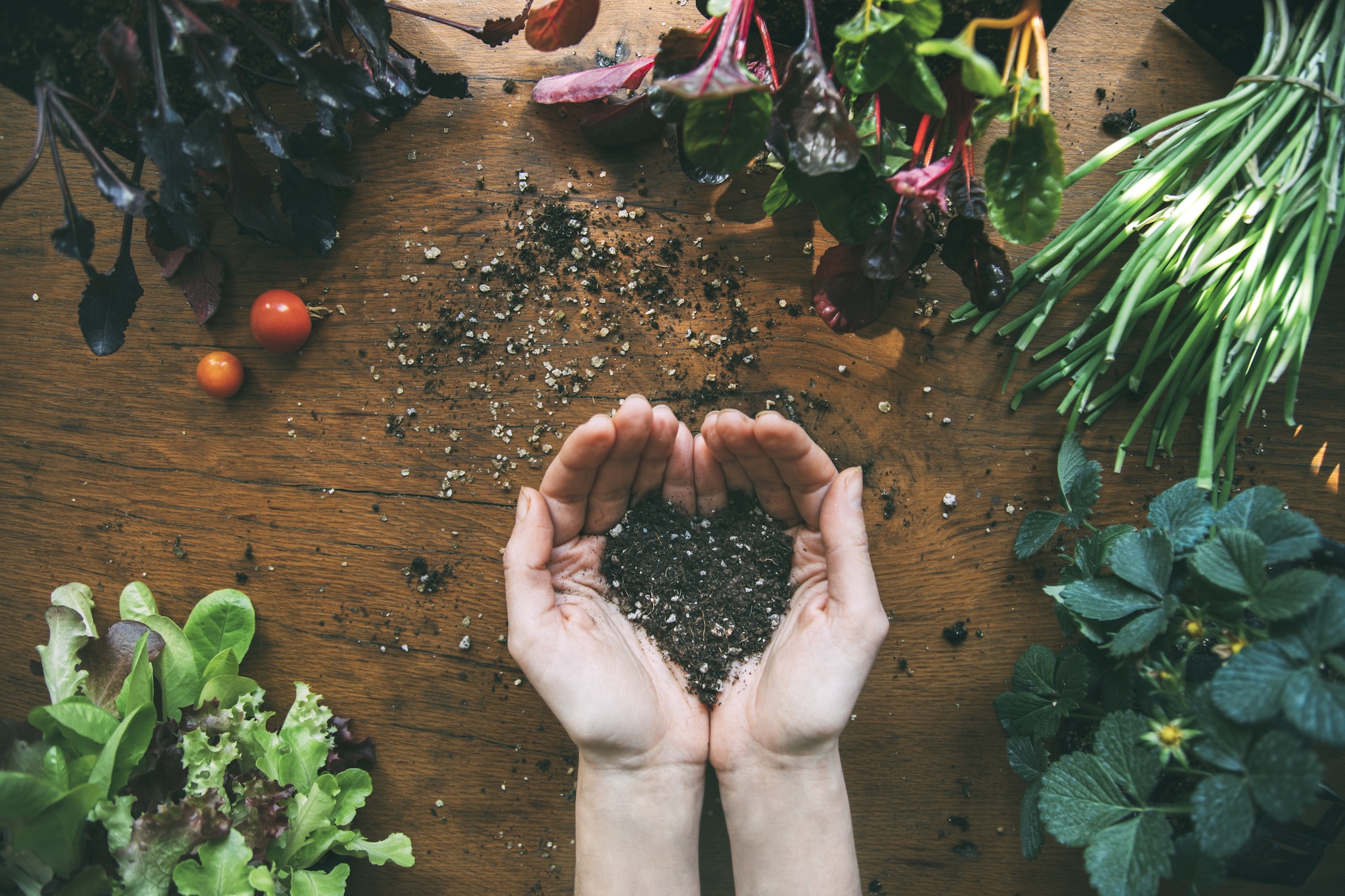 Planetary Health Diet | Deli Reform | Deli Reform